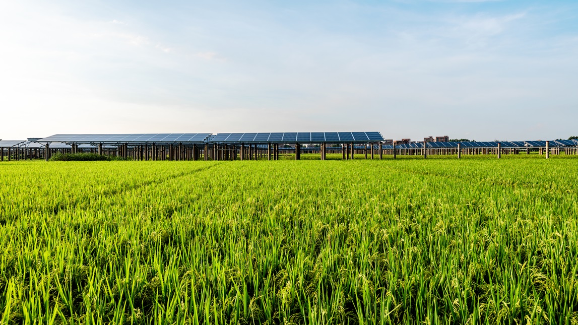 CREC | Solar Farms in the Philippines: Smart Choice for Businesses