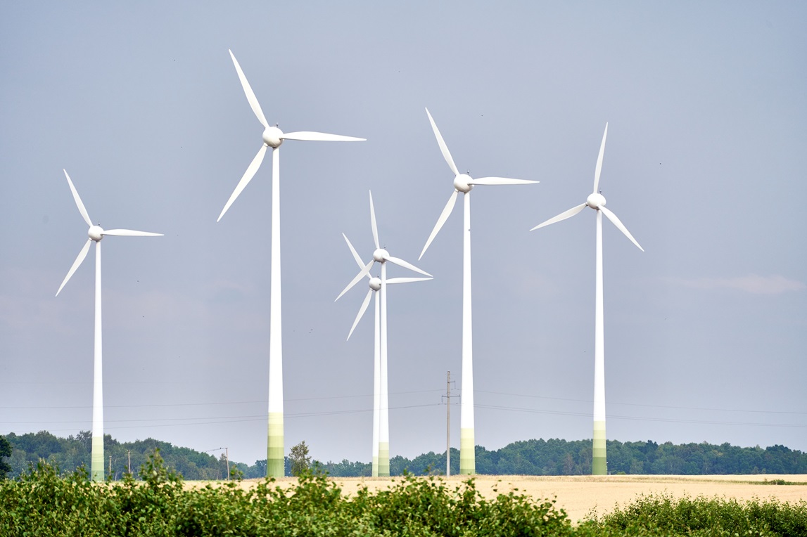 CREC | Types of Wind Turbines: Everything you Need to Know