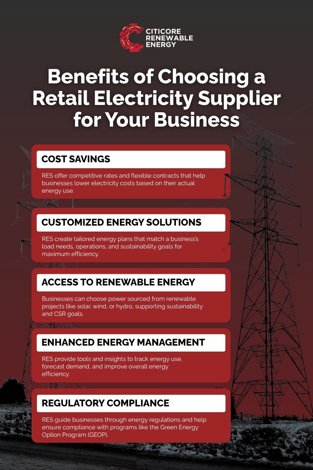 The Role of Retail Electricity Suppliers in Supporting Renewable Energy ...